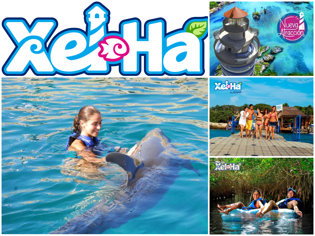 Xel-Há + Nado Ride - EXCURSIONES, TOURS - TRIPS RIVIERA MAYA